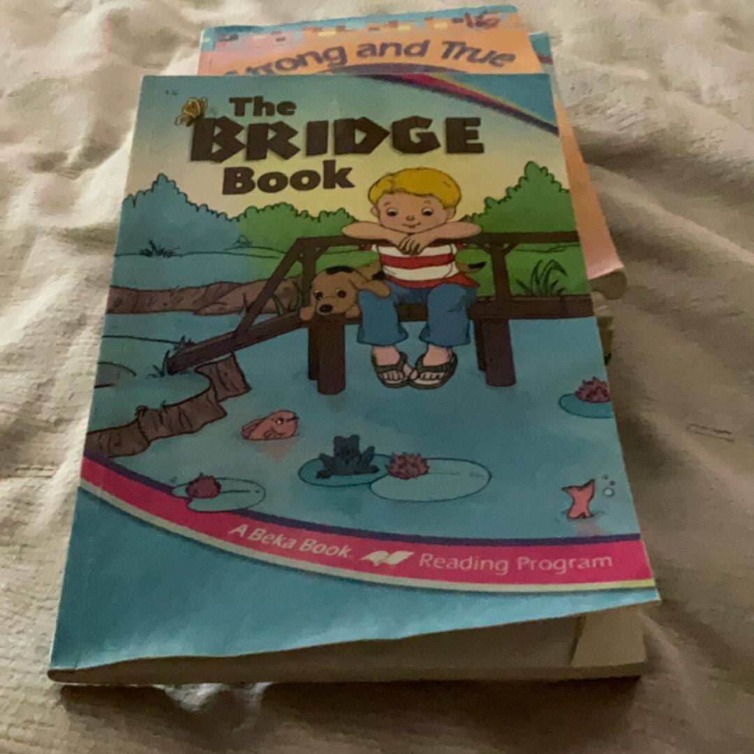 The bridge book by Shimmin, Paperback | Pangobooks