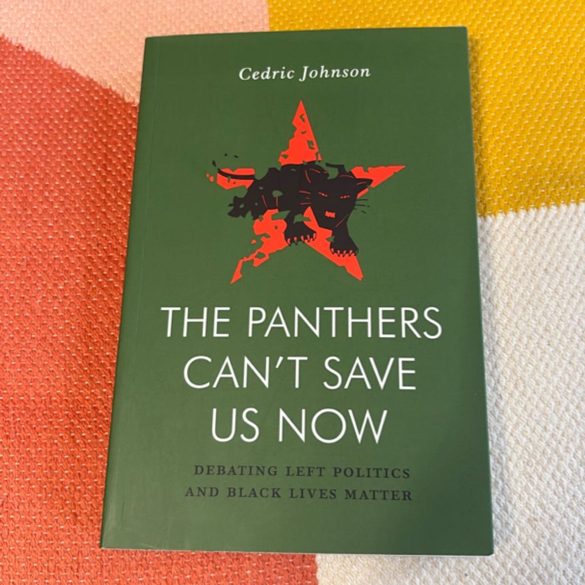 The Panthers Can't Save Us Now by Cedric Johnson