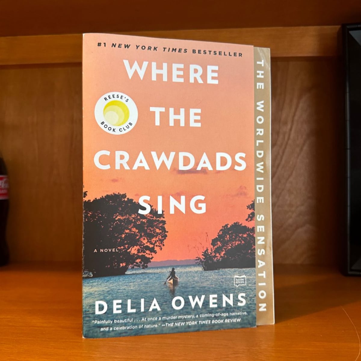 Where the Crawdads Sing by Delia Owens, Paperback | Pangobooks