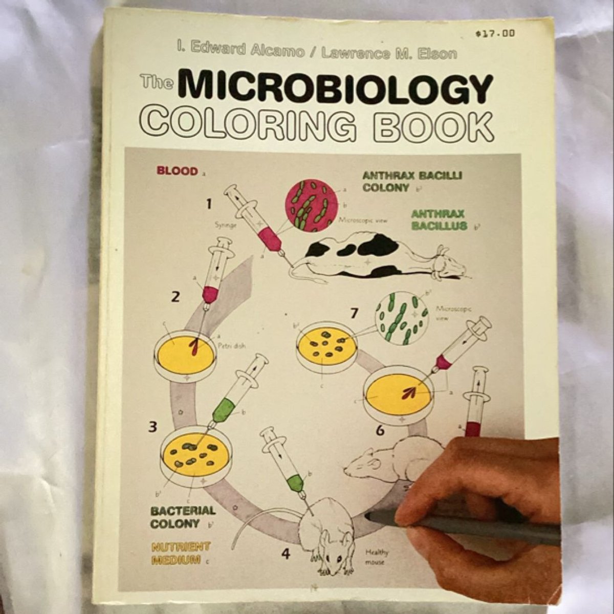 Basic Microbiology by I. Edward Alcamo, Lawrence M. Elson