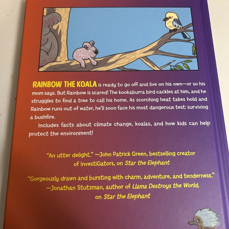 Surviving the Wild: Rainbow the Koala by Remy Lai, Hardcover | Pangobooks