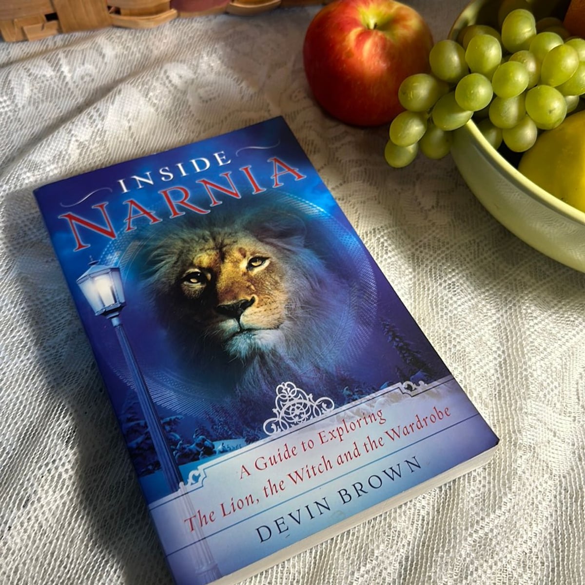 Inside Narnia by Devin Brown