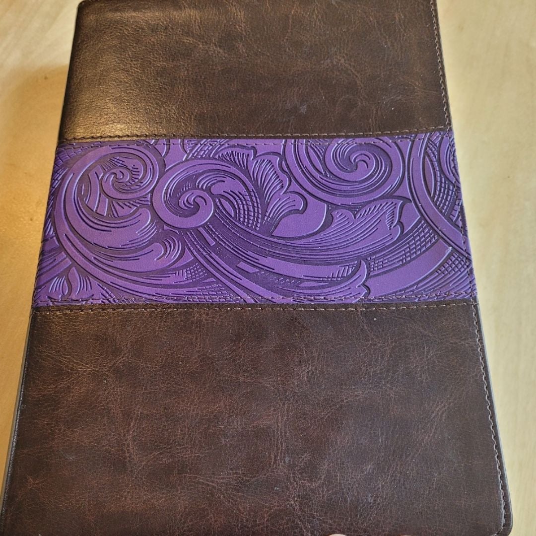 CSB Rainbow Study Bible, Purple LeatherTouch by C. S. B. Bibles CSB ...