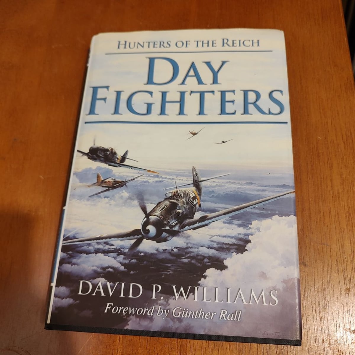 Day Fighters by , Hardcover | Pangobooks
