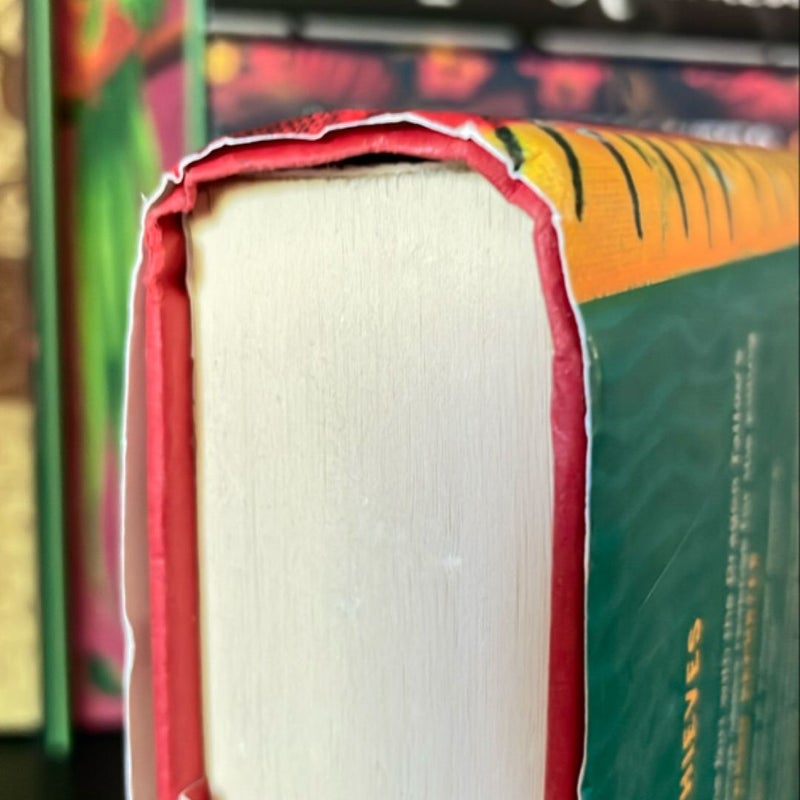 Let's Go Swimming on Doomsday by Natalie C. Anderson