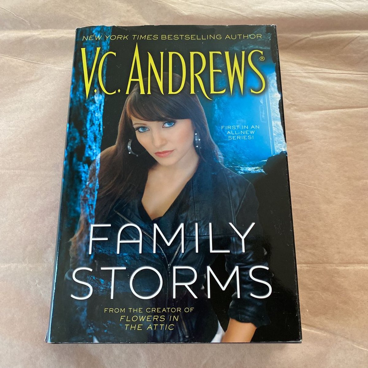 Family Storms by V. C. Andrews