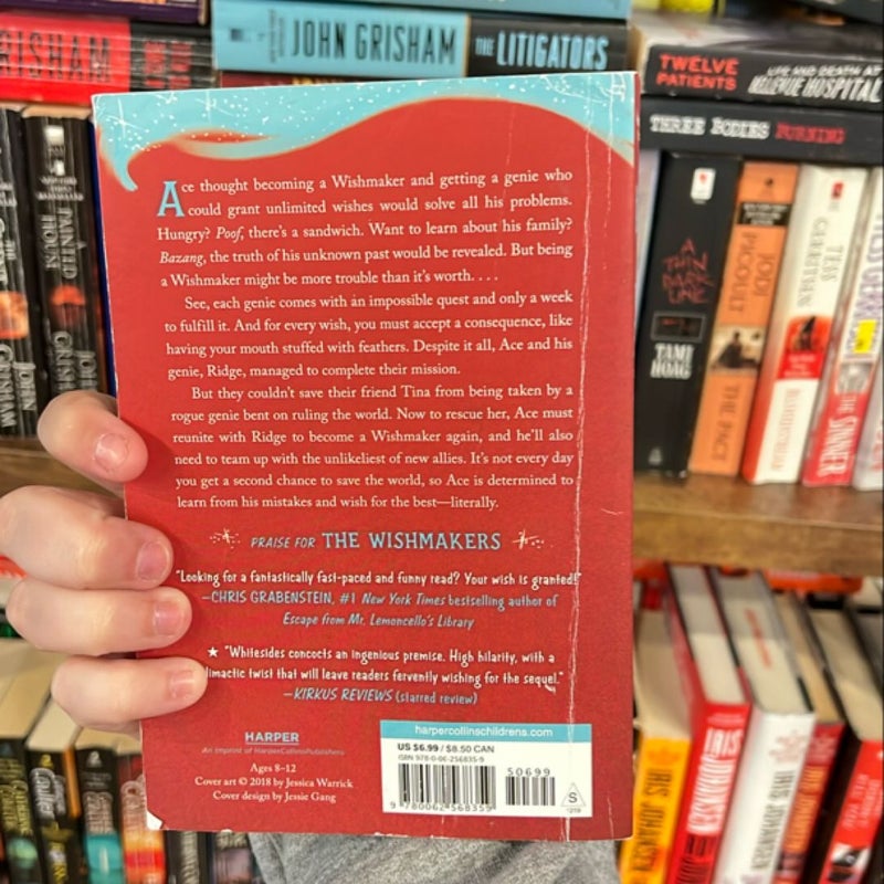 The Wishbreaker by Tyler Whitesides, Paperback | Pangobooks