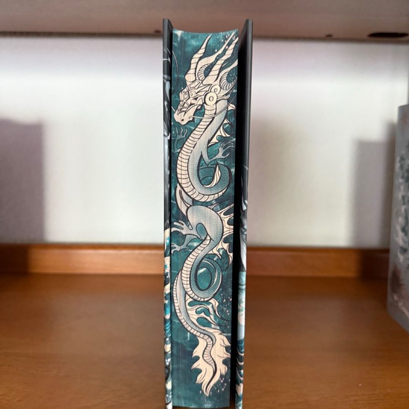 Of Jade and Dragons by Amber Chen, Hardcover | Pangobooks