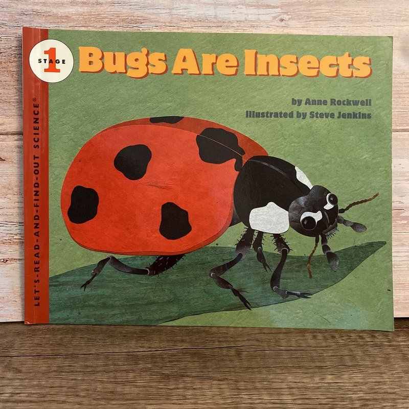 Bugs Are Insects by Anne Rockwell