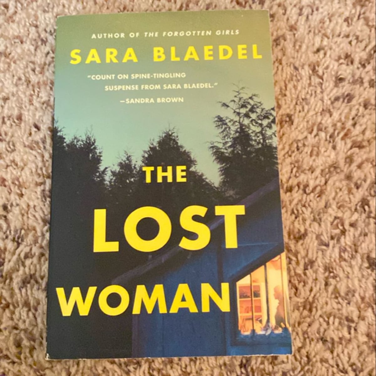 The Lost Woman by Sara Blaedel