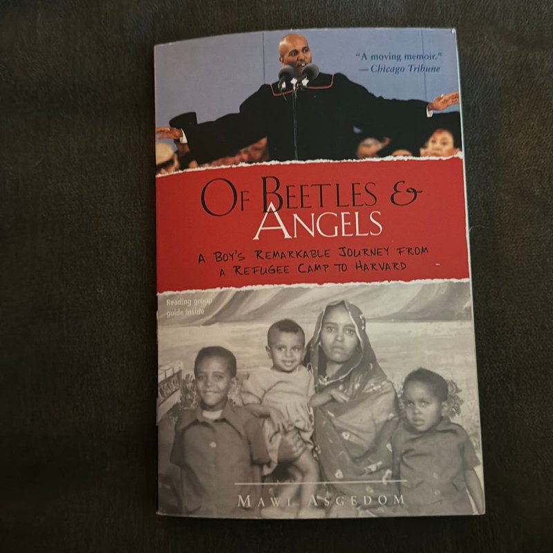 Of Beetles and Angels by Mawi Asgedom