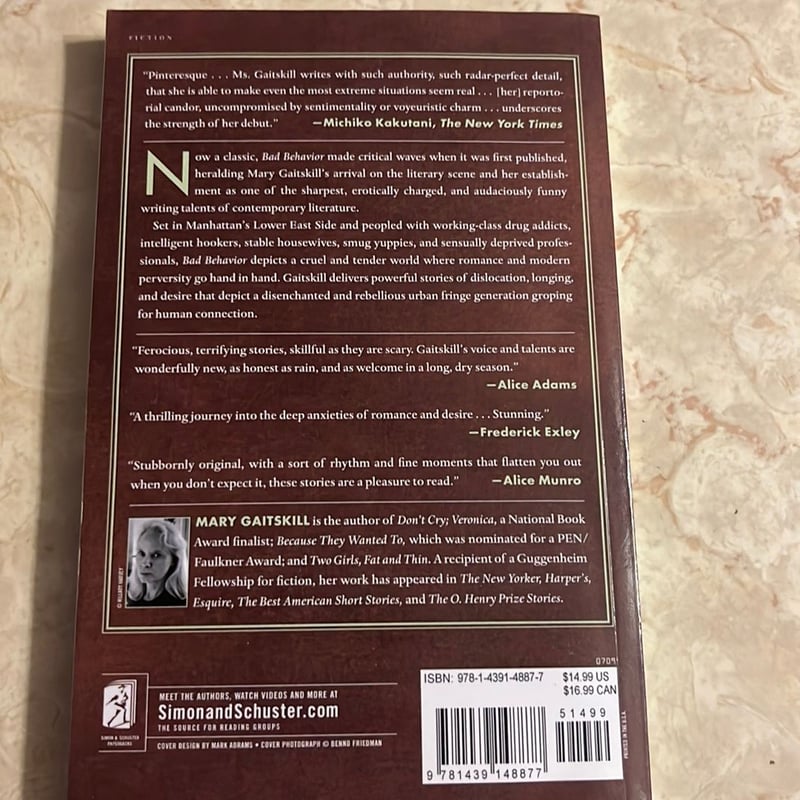 Bad Behavior by Mary Gaitskill, Paperback | Pangobooks