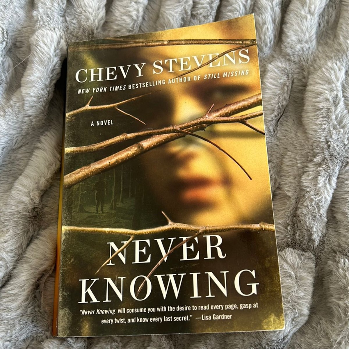 Never Knowing by Chevy Stevens