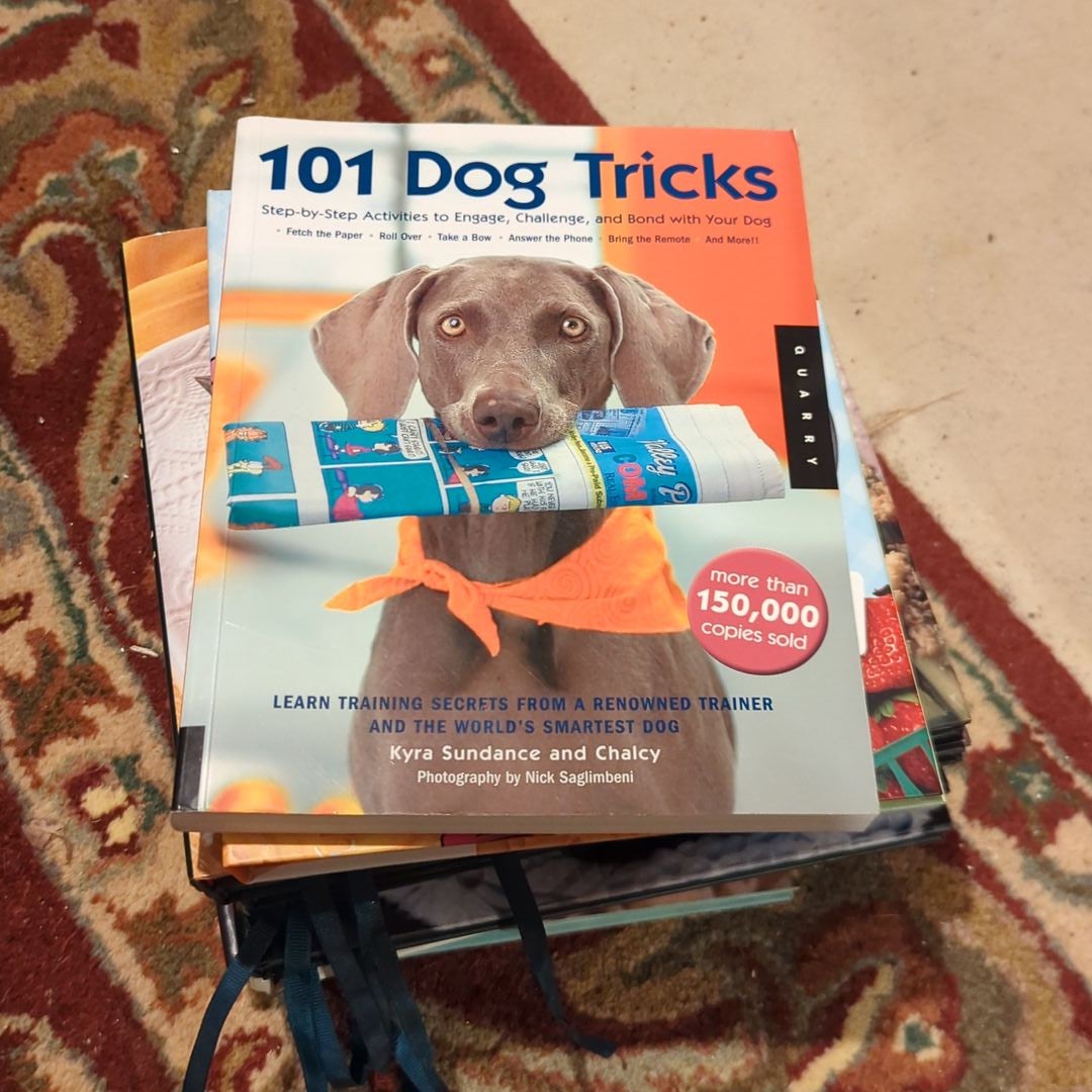 101 Dog Tricks by Kyra Sundance, Paperback | Pangobooks