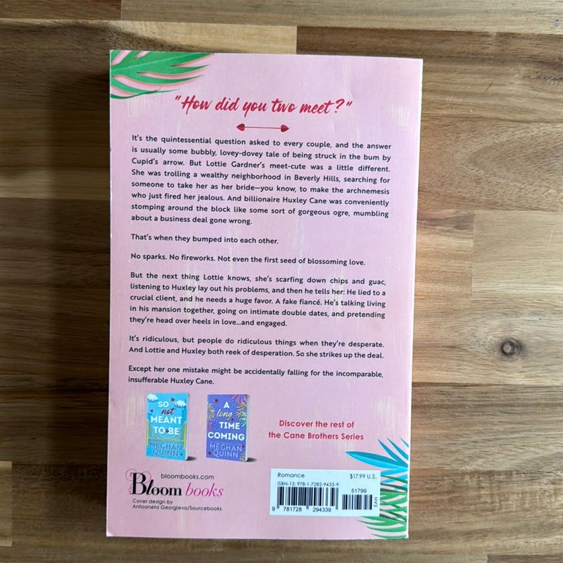 A Not So Meet Cute by Meghan Quinn, Paperback | Pangobooks