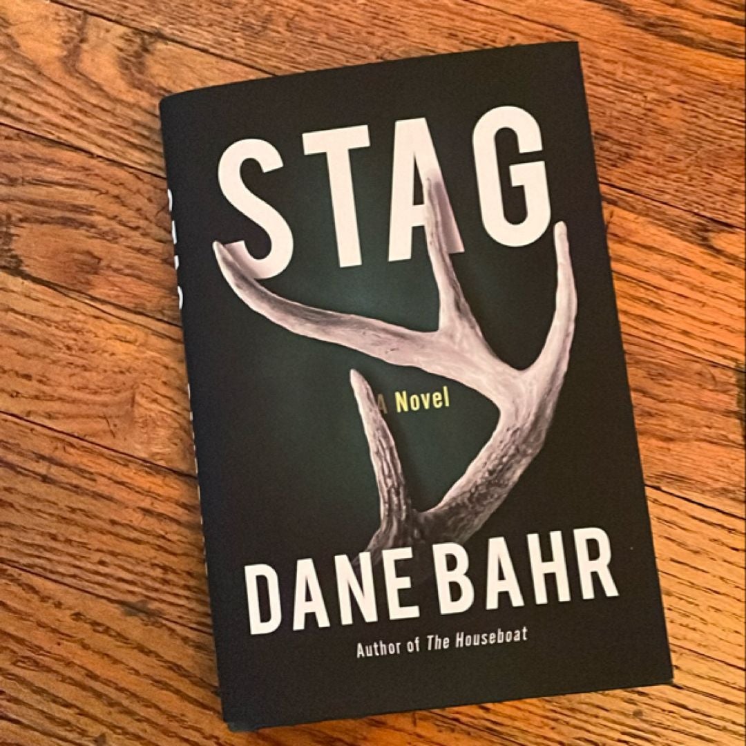 Stag by Dane Bahr