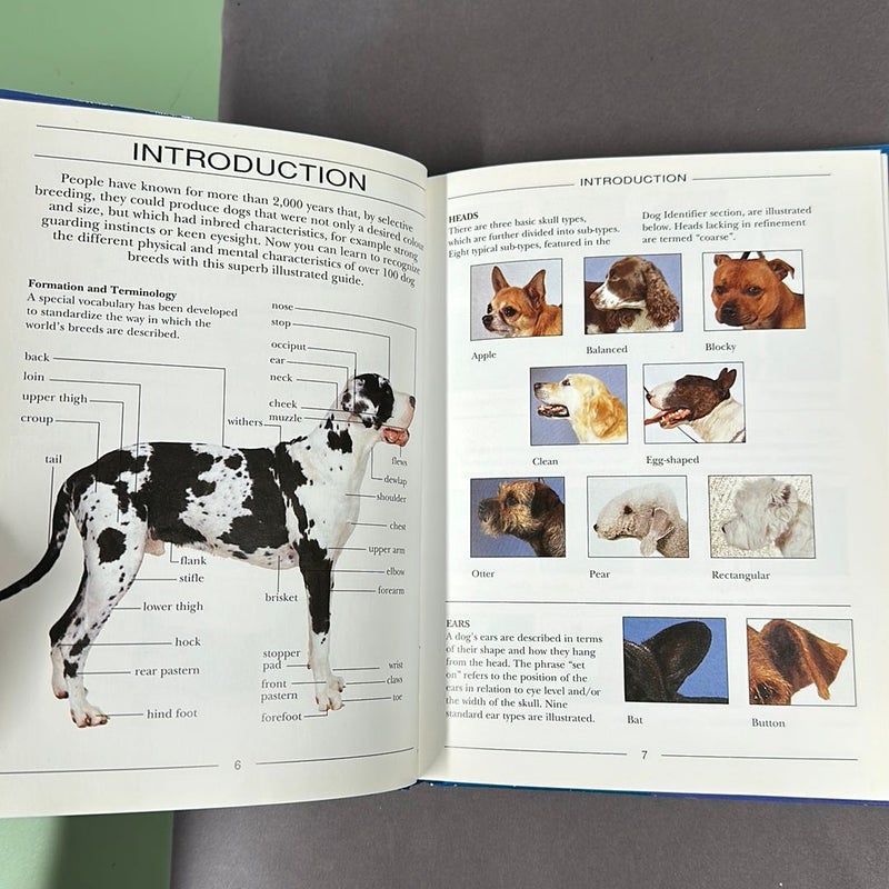 Identifying Guide to Dog Breeds by John Palmer, Hardcover | Pangobooks