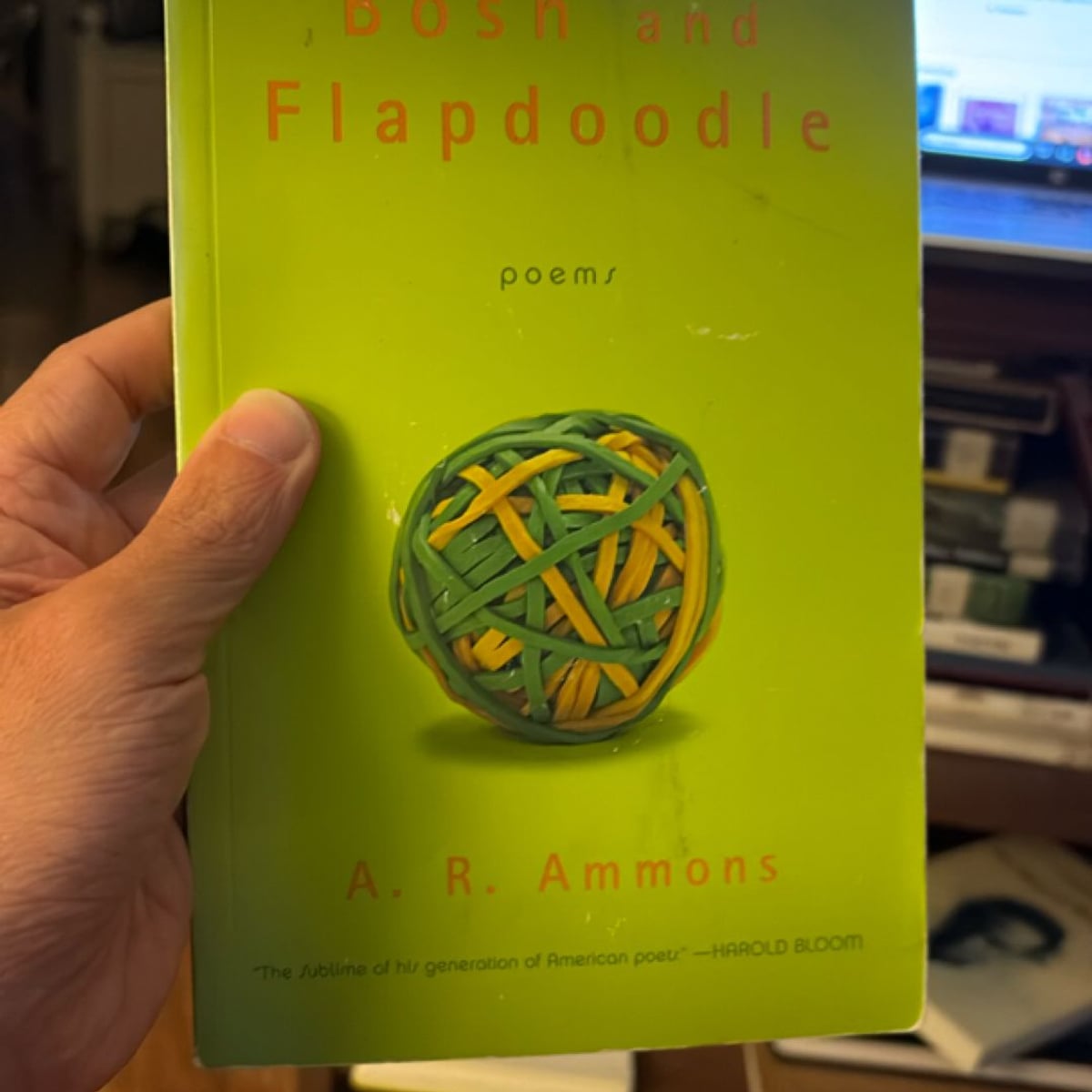 Bosh and Flapdoodle by A. R. Ammons