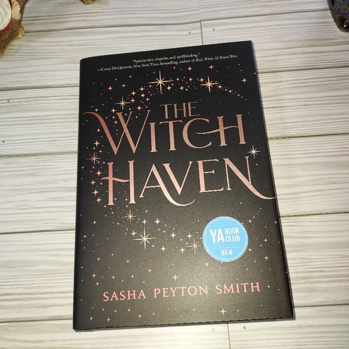 The Witch Haven by Sasha Peyton Smith, Hardcover | Pangobooks