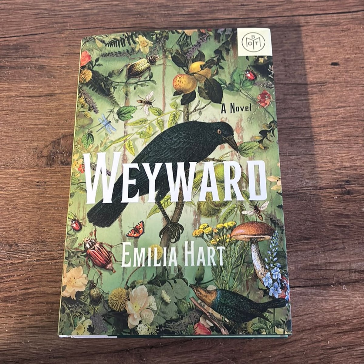 Weyward by Emilia Hart, Hardcover | Pangobooks