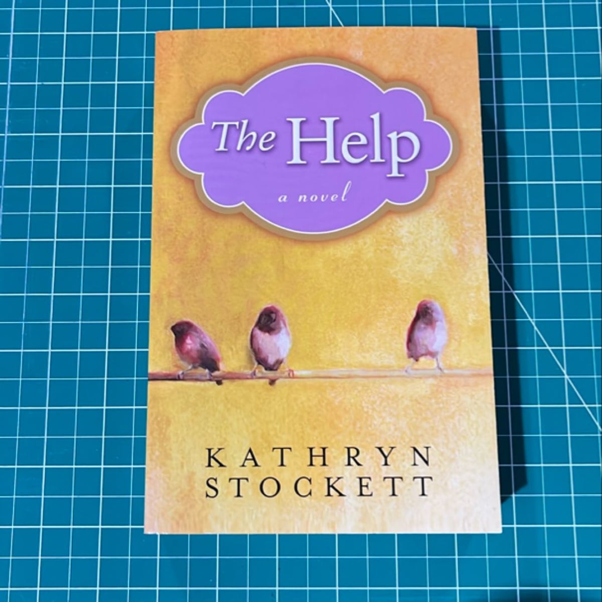 The Help by Kathryn Stockett, Paperback | Pangobooks