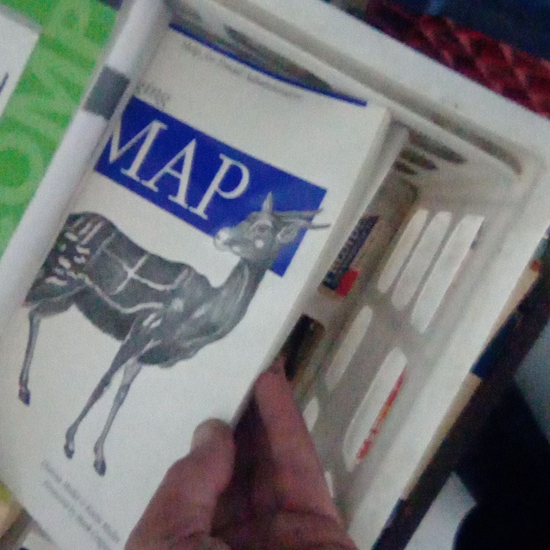 Managing IMAP by Dianna Mullet, Kevin Mullet