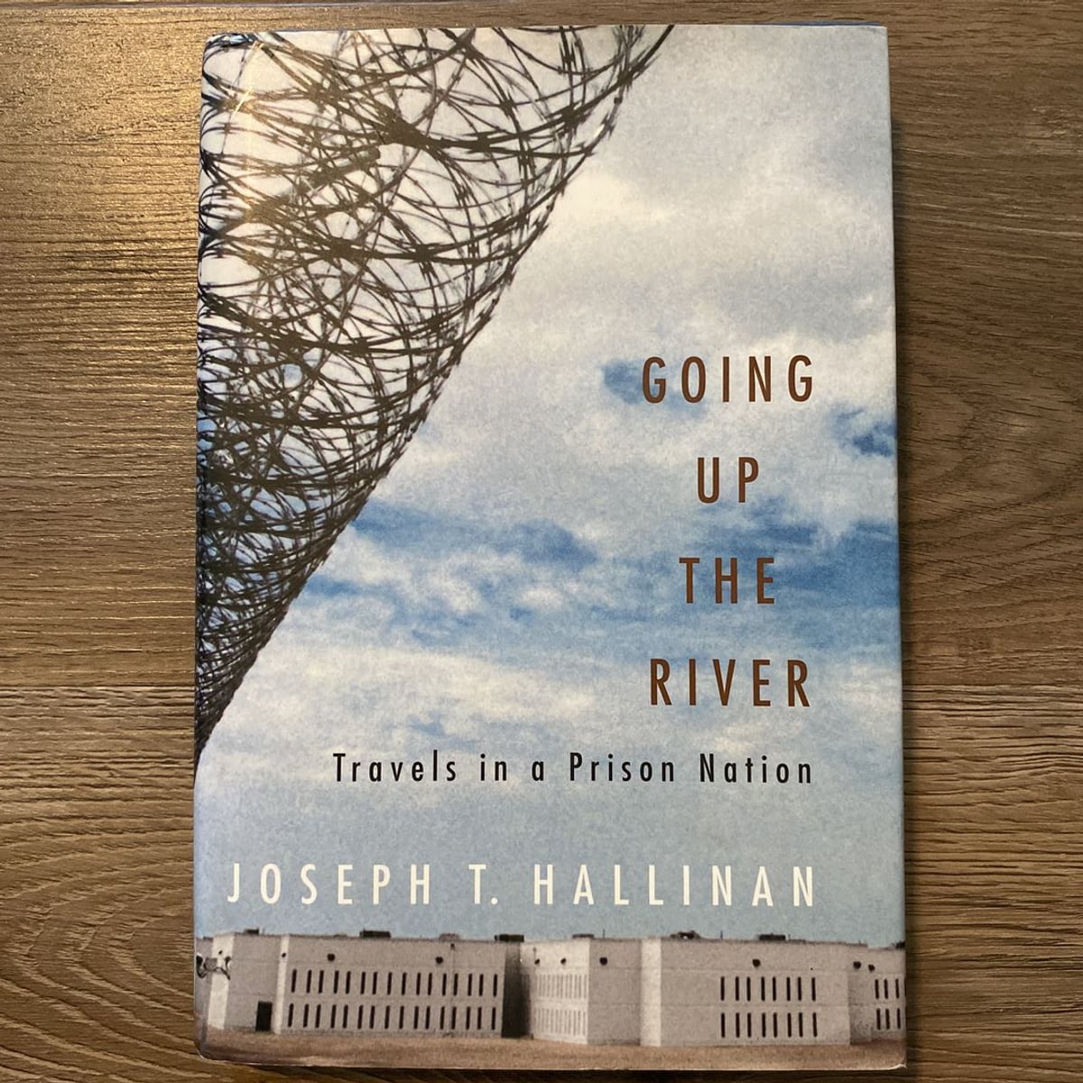 Going up the River by Joseph T. Hallinan