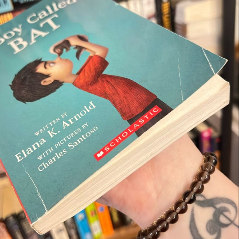 A Boy Called Bat by Elana K. Arnold, Paperback | Pangobooks