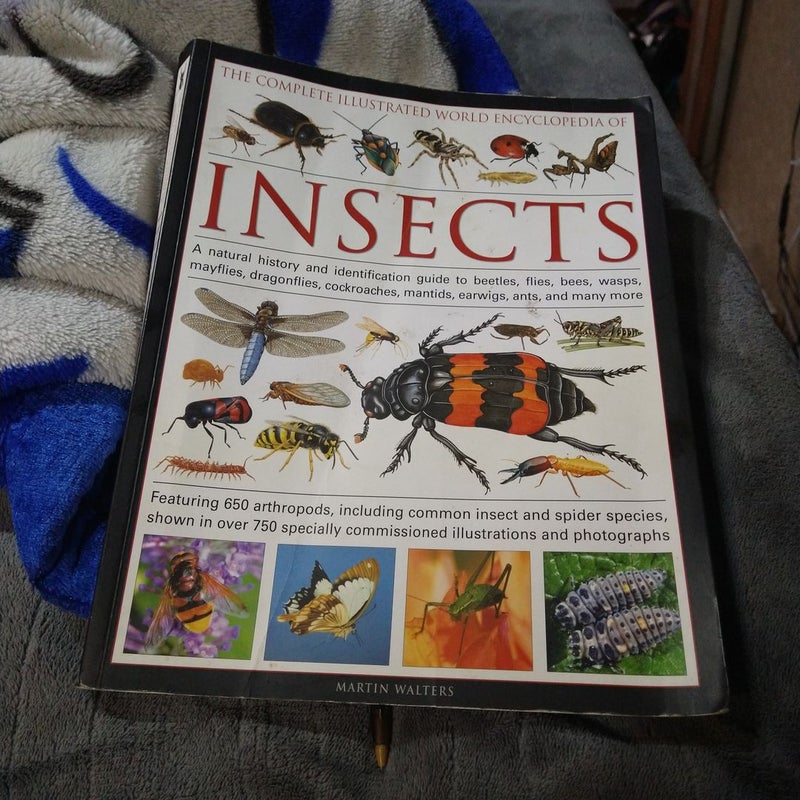 The Complete Illustrated World Encyclopedia of Insects by Martin Walters