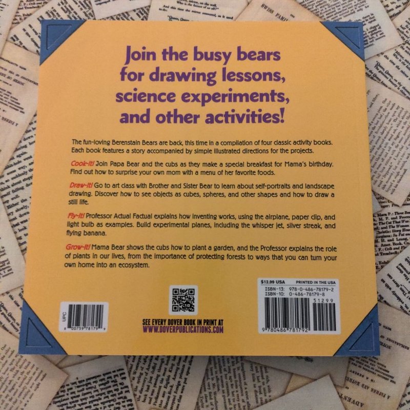 The Berenstain Bears®' First Time Do-It! Book by Jan Berenstain ...