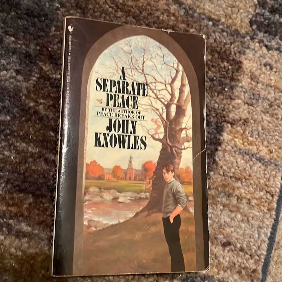 A Separate Peace by John Knowles, Paperback | Pangobooks