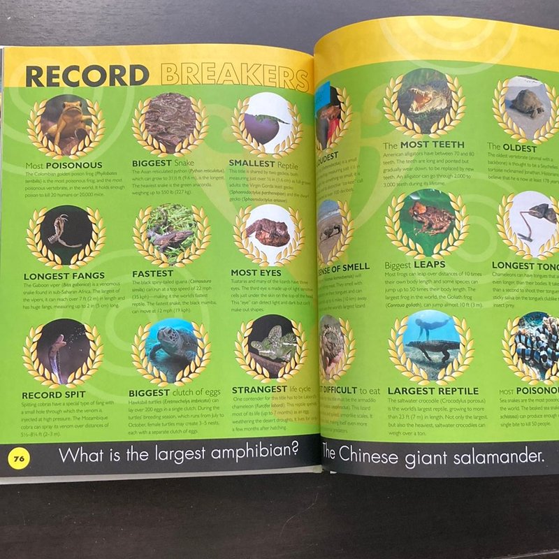 Everything You Need to Know about Frogs and Other Slippery Creatures by DK