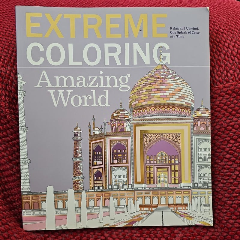 Extreme Coloring Amazing World by Beverly Lawson