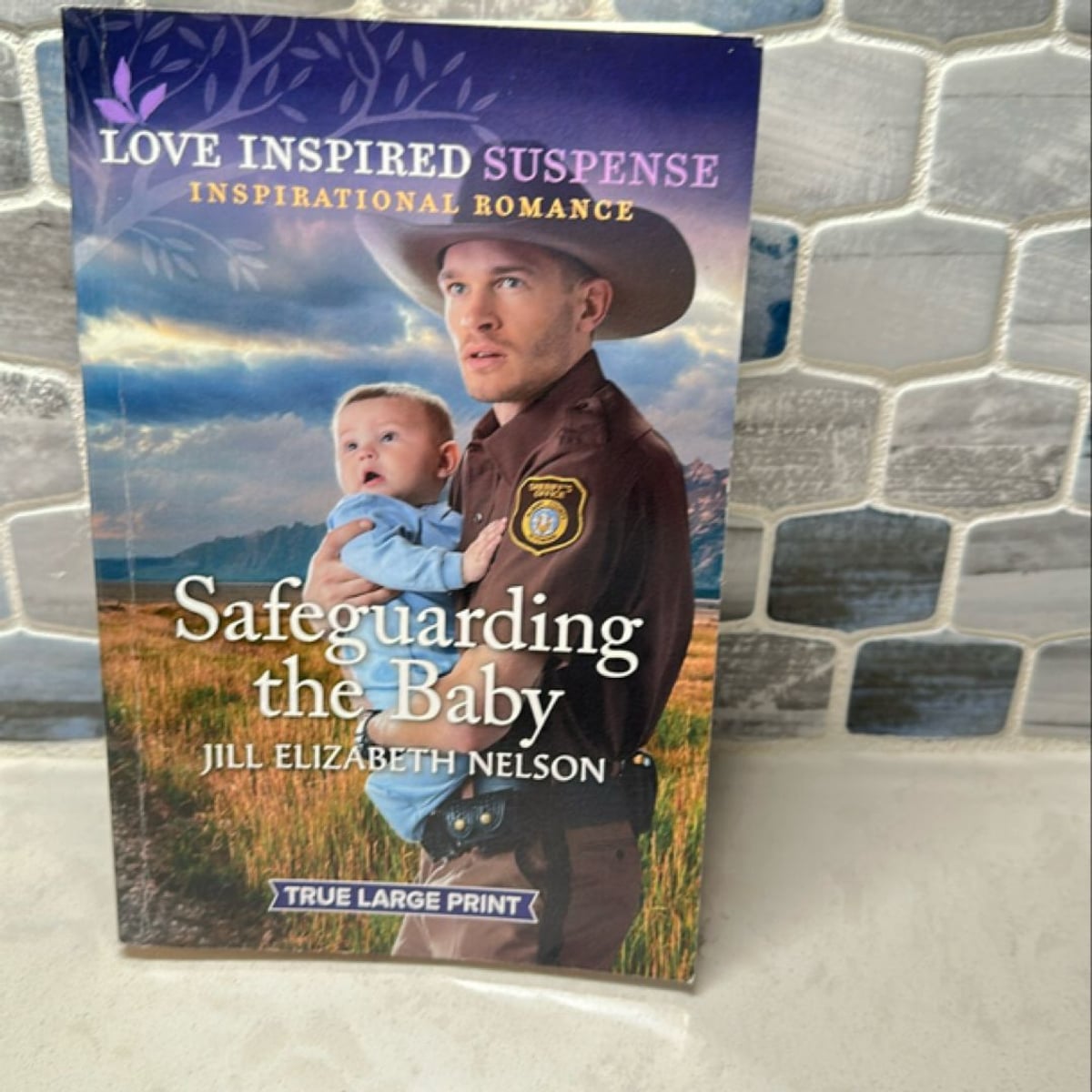 Safeguarding the Baby by Jill Elizabeth Nelson
