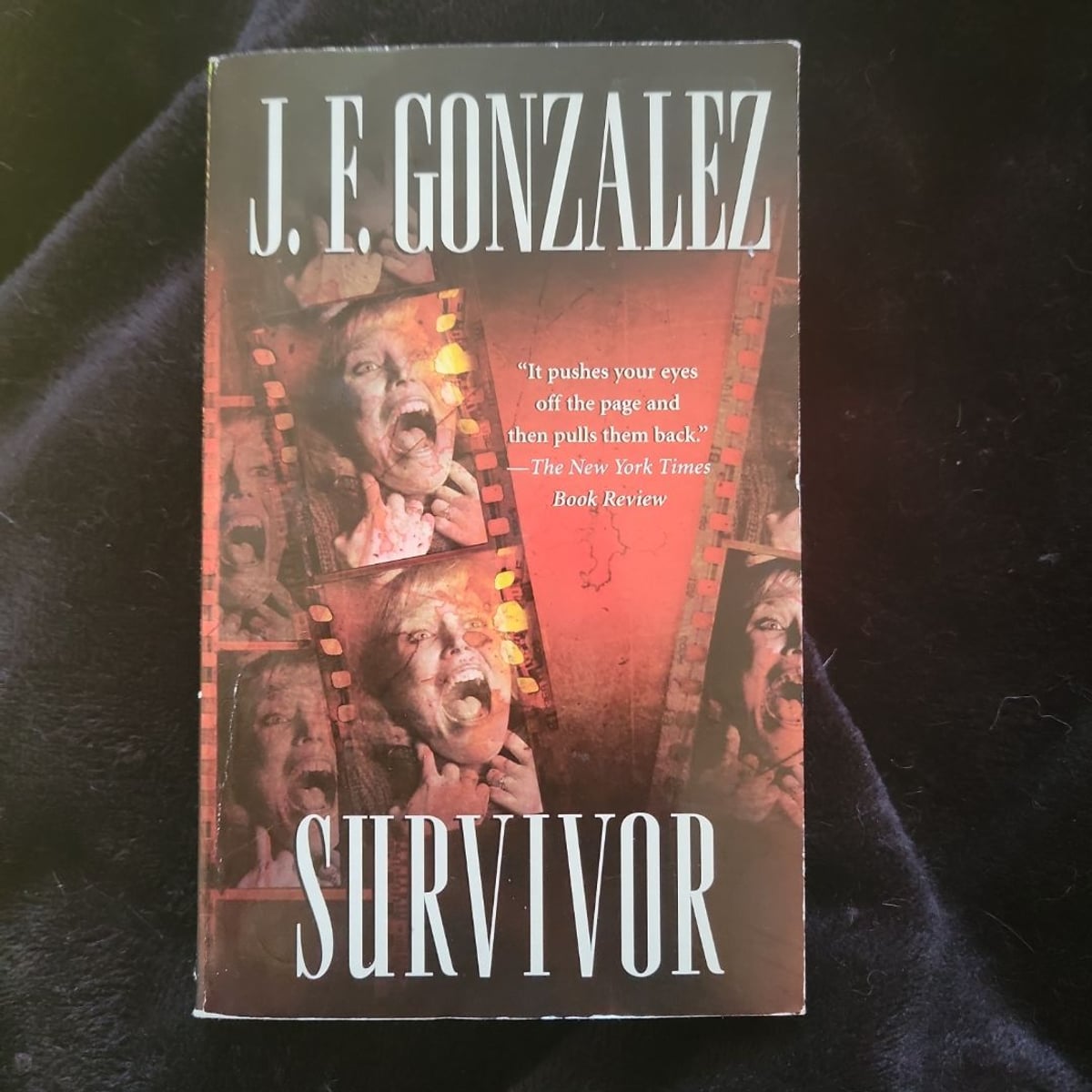 Survivor by J. F. Gonzalez