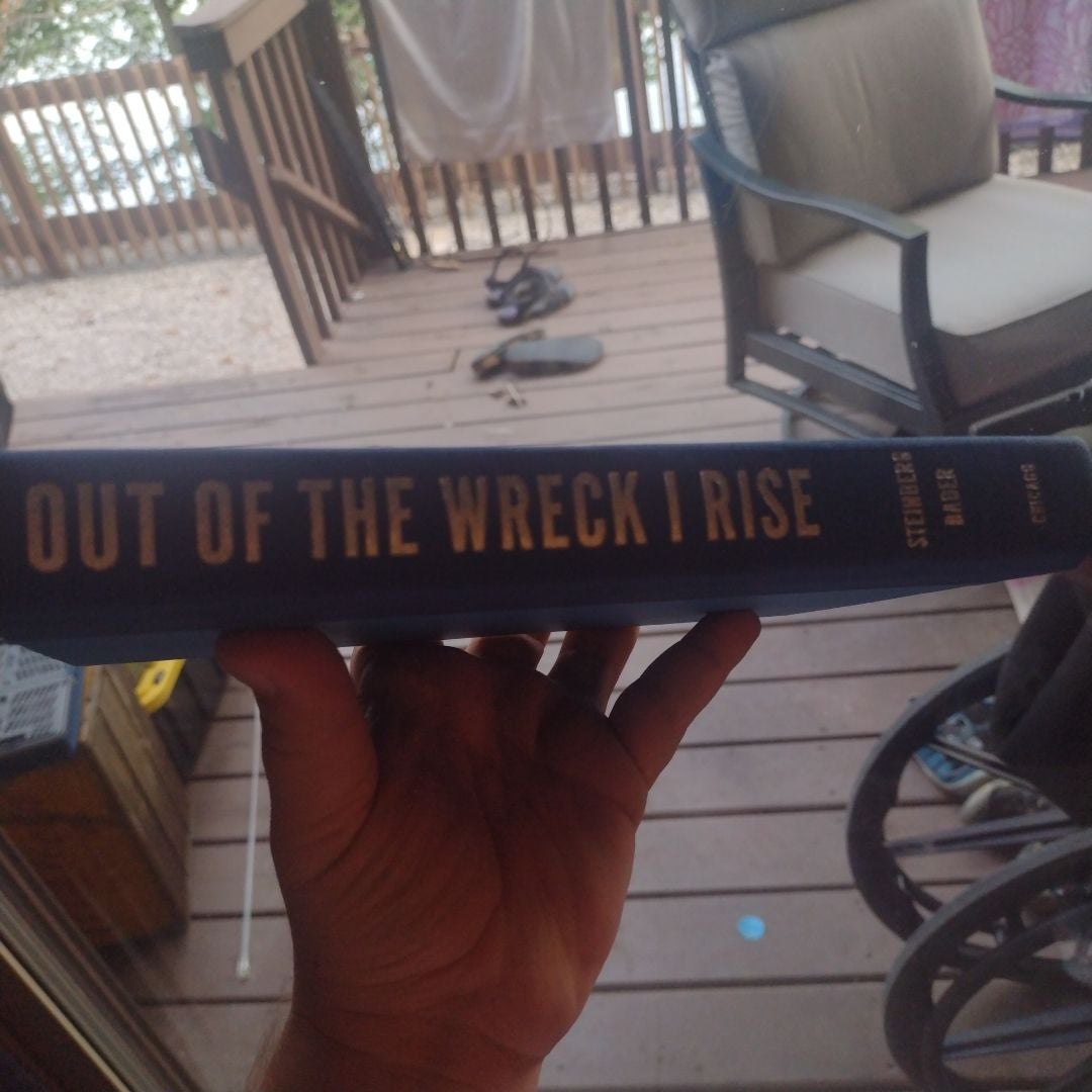 Out of the Wreck I Rise by Neil Steinberg, Sara Bader