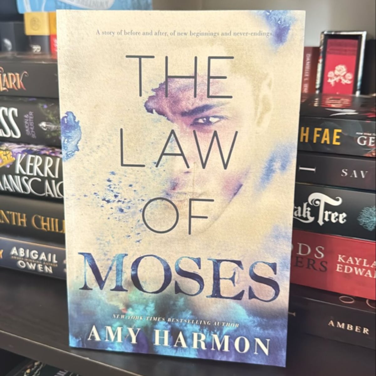 The Law of Moses by Amy Harmon
