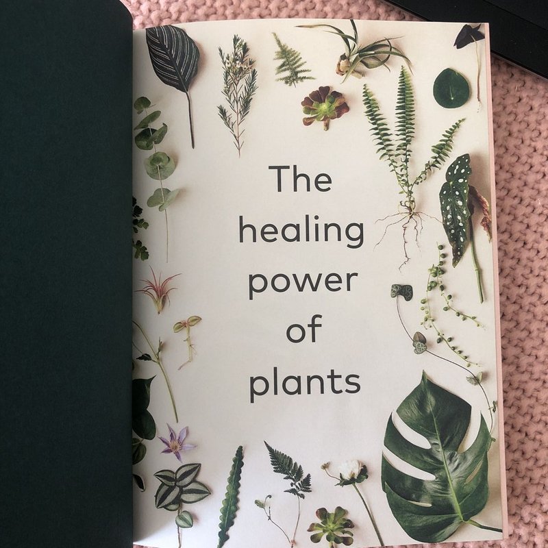 The Healing Power of Plants by Fran Bailey, Hardcover | Pangobooks