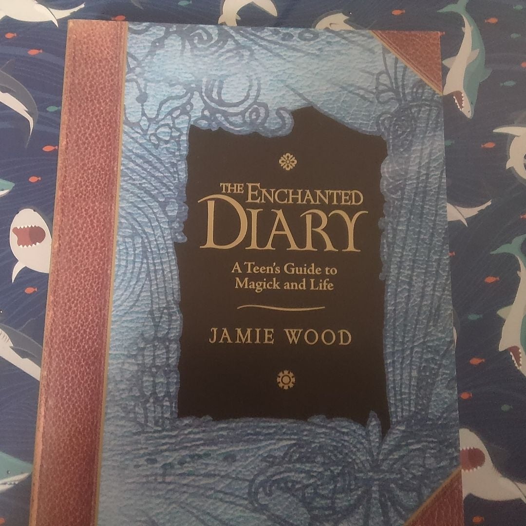 The Enchanted Diary by Jamie Wood, Paperback | Pangobooks