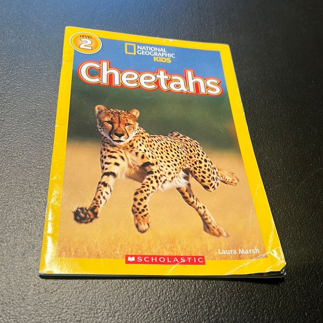 National Geographic Kids - Cheetahs by Laura Marsh, Paperback | Pangobooks