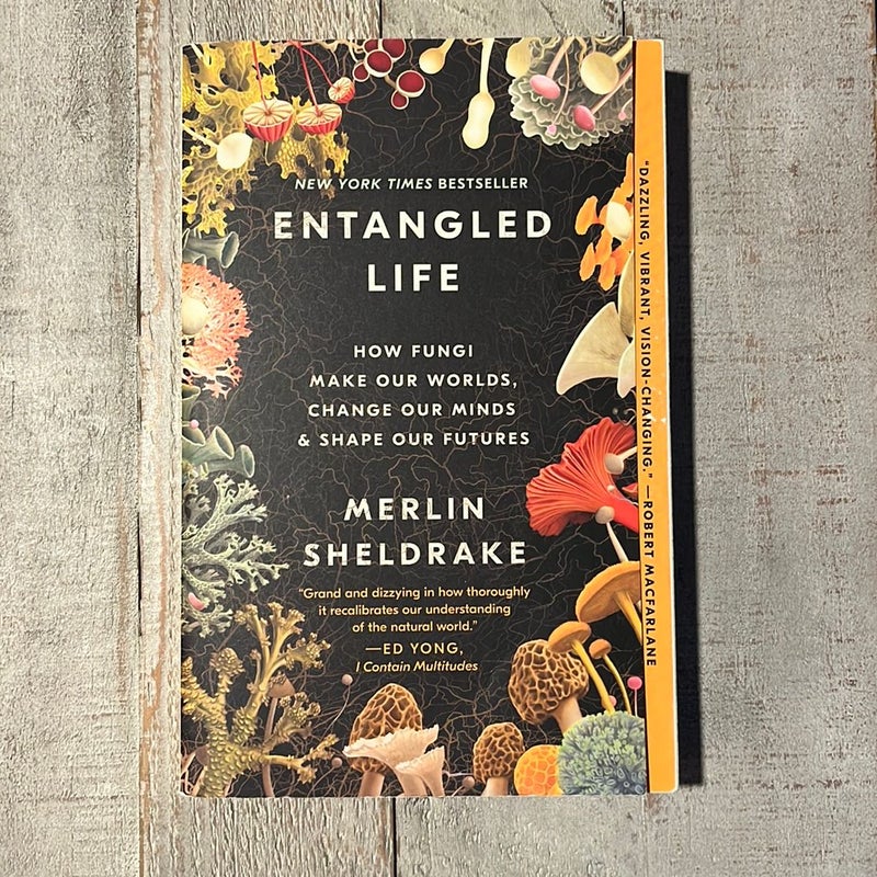 Entangled Life by Merlin Sheldrake, Paperback | Pangobooks