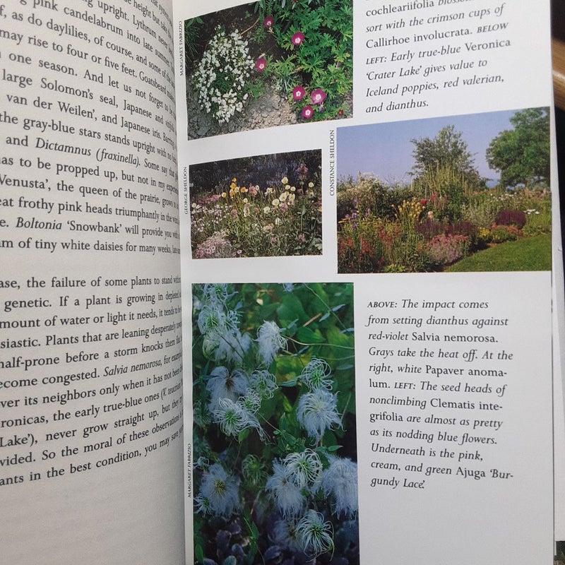 A Proper Garden by Elisabeth Sheldon, Hardcover | Pangobooks