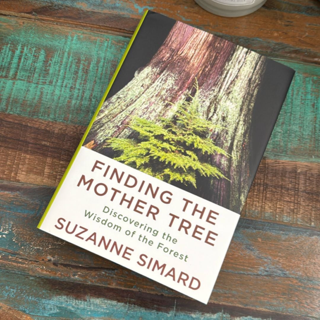 Finding the Mother Tree by Suzanne Simard