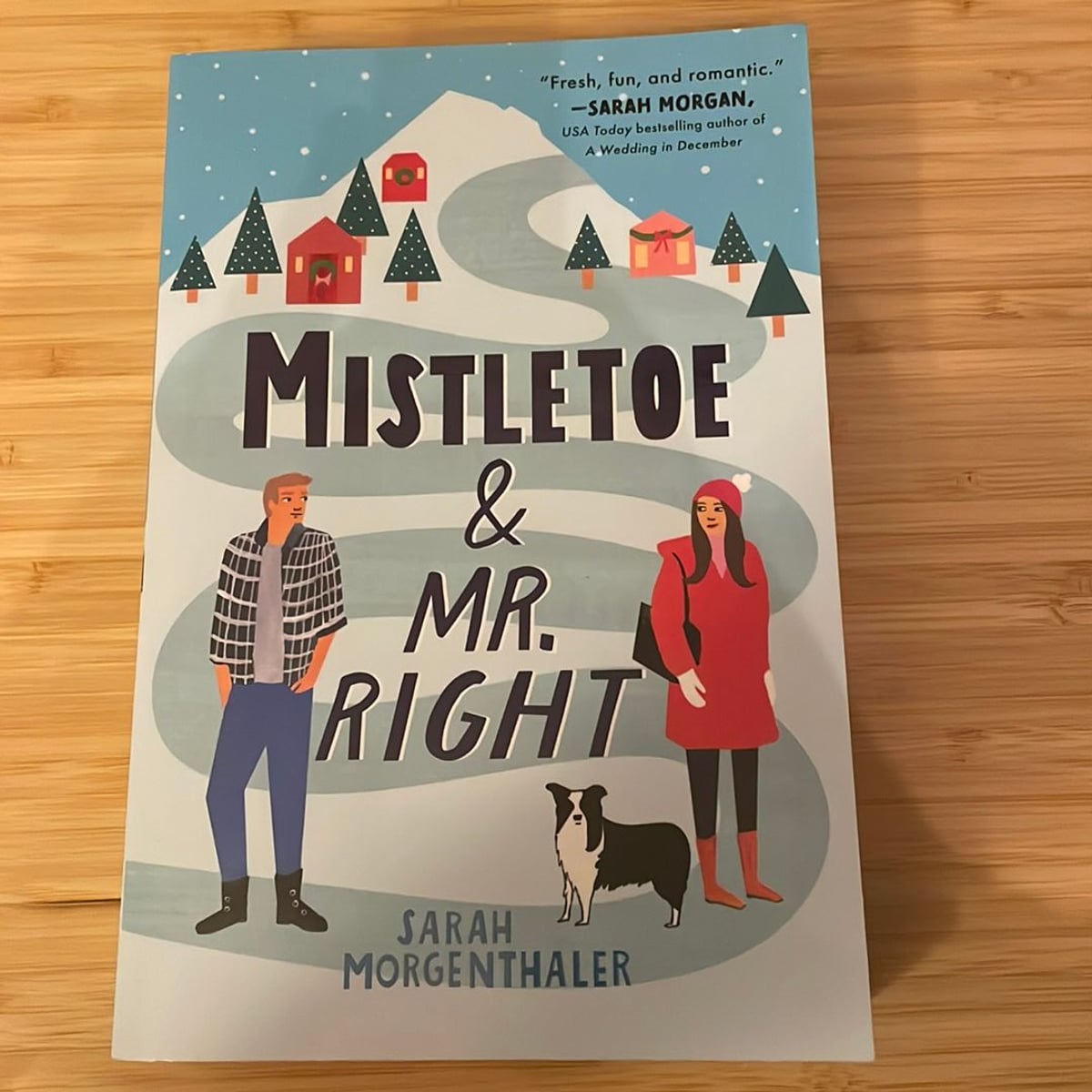 Mistletoe and Mr. Right by Sarah Morgenthaler, Paperback | Pangobooks