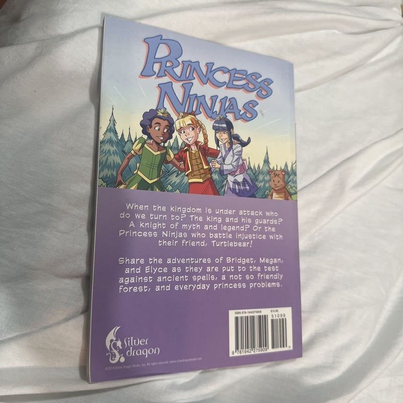 Princess Ninjas by Dave Franchini, Eduardo Garcia
