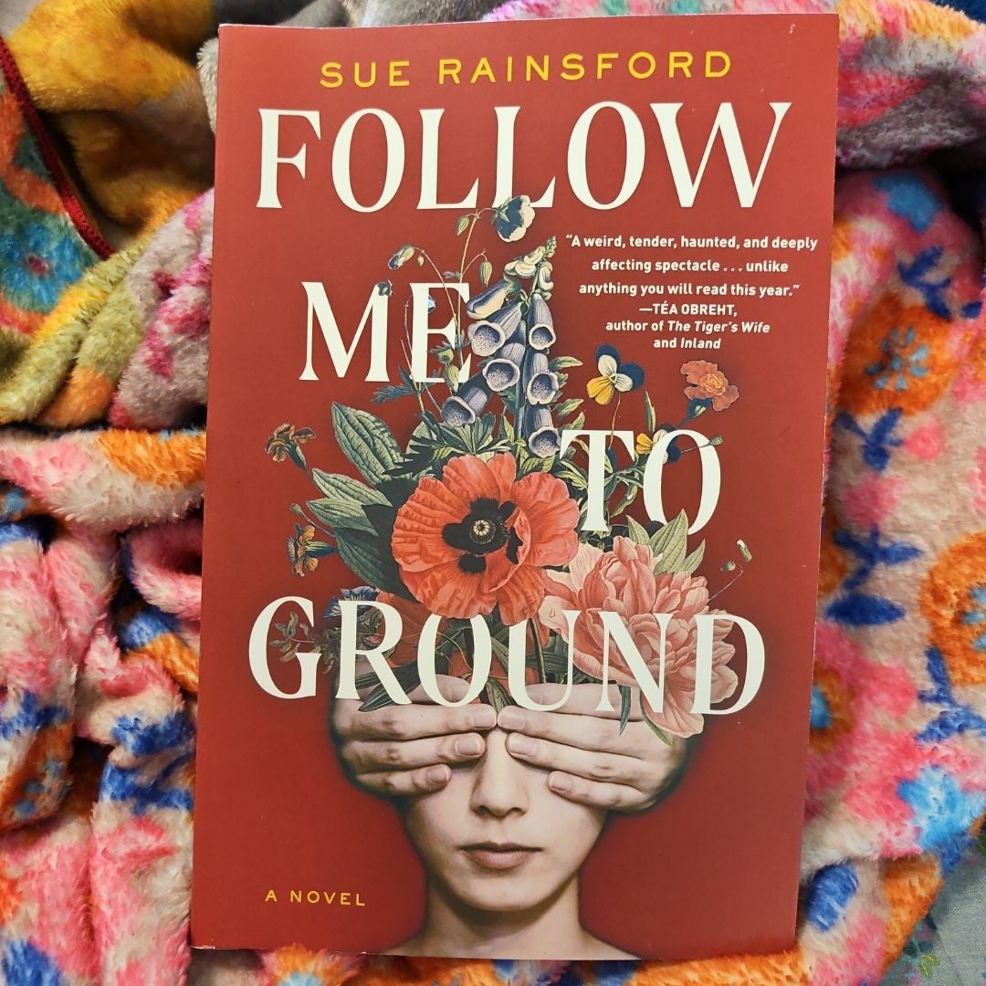 Follow Me to Ground by Sue Rainsford