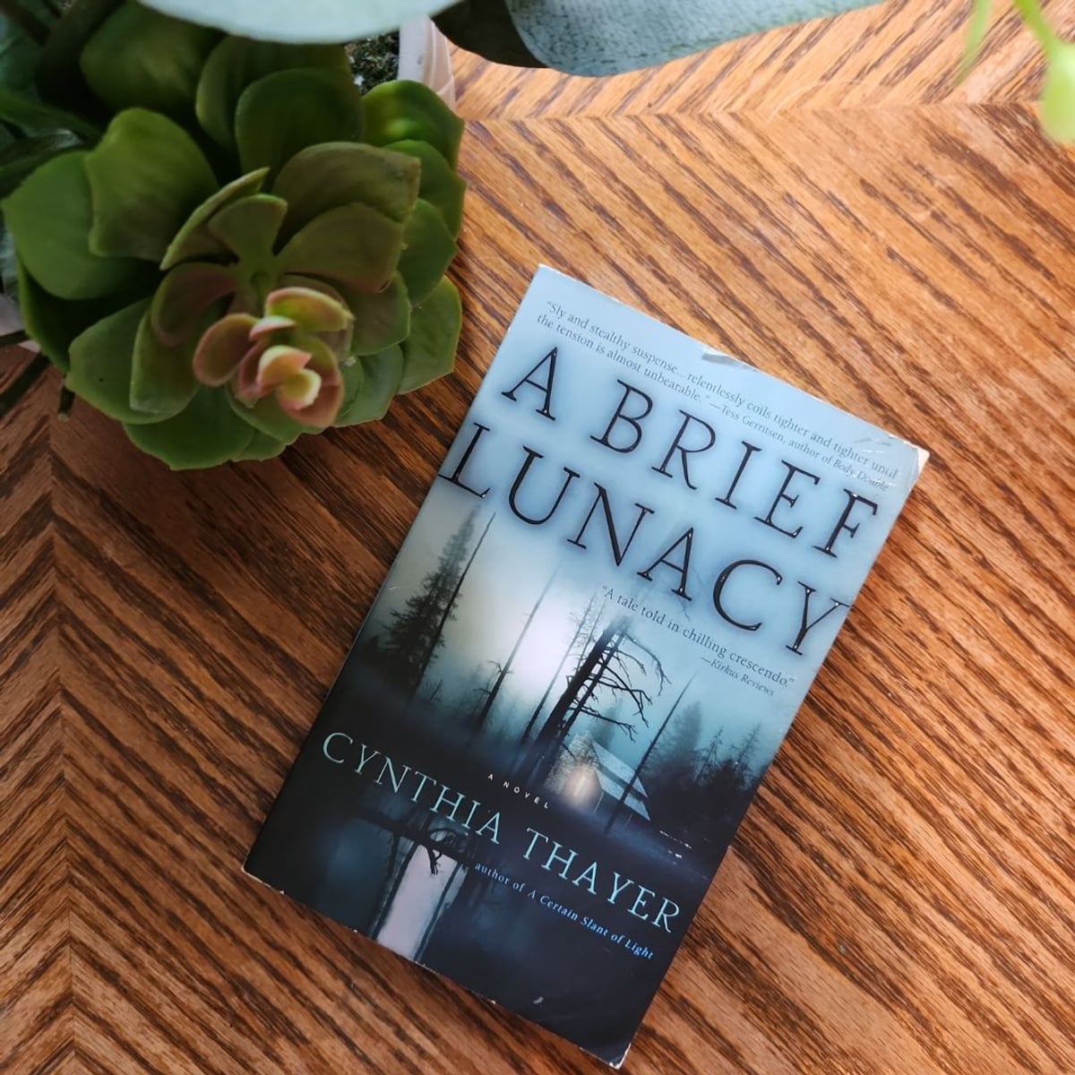 A Brief Lunacy by Cynthia A Thayer, Cynthia Thayer