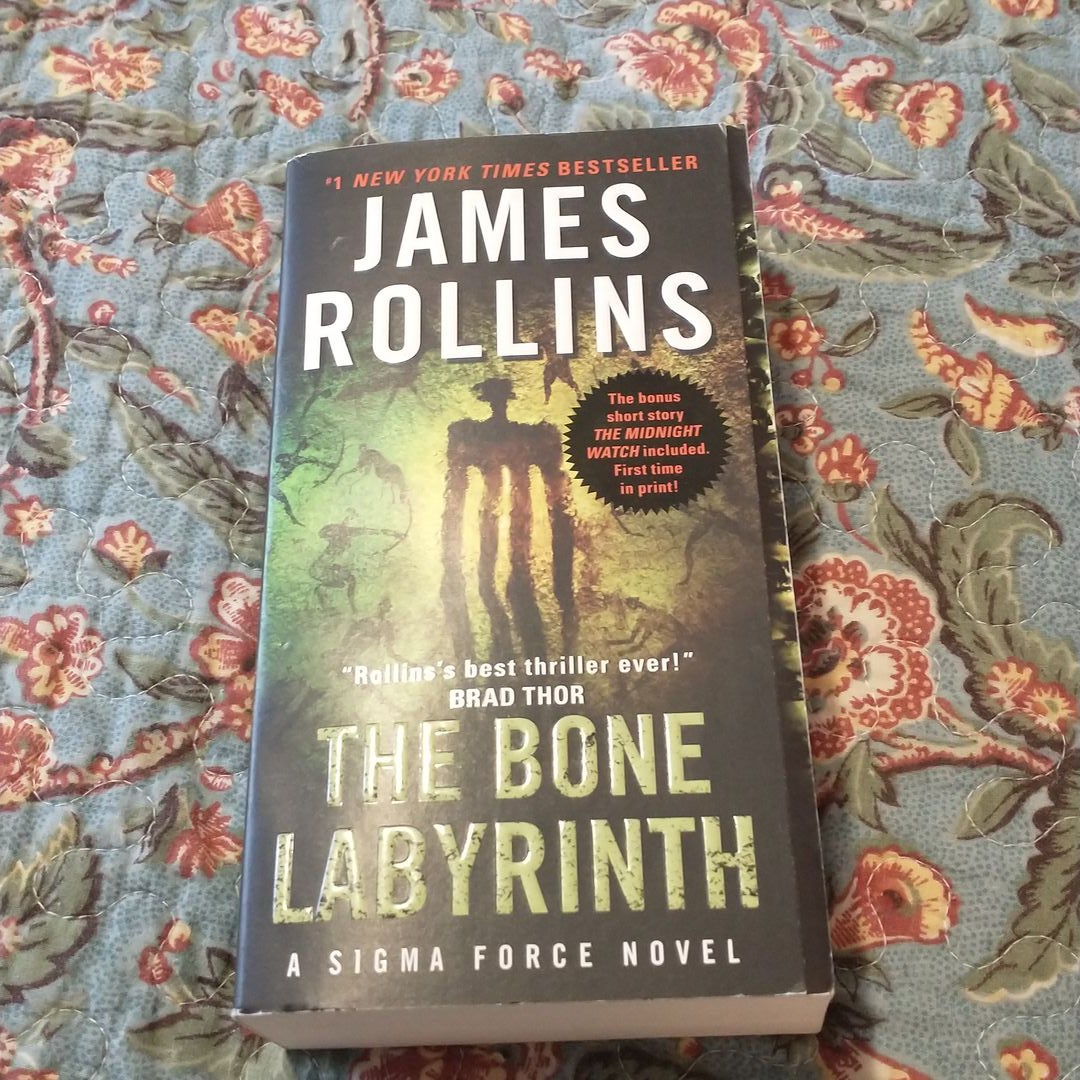 The Bone Labyrinth by James Rollins