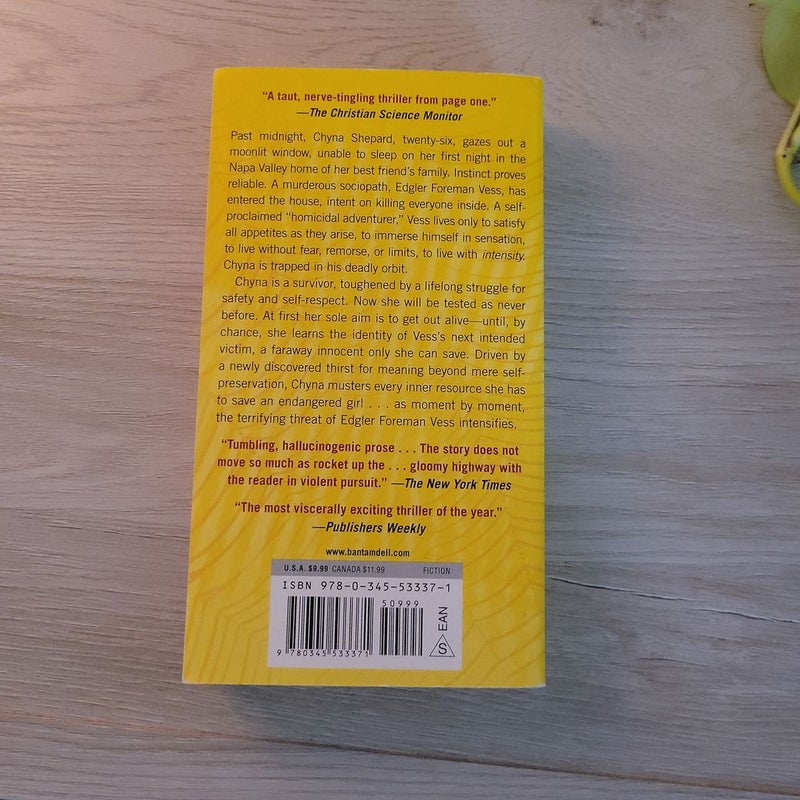 Intensity by Dean Koontz