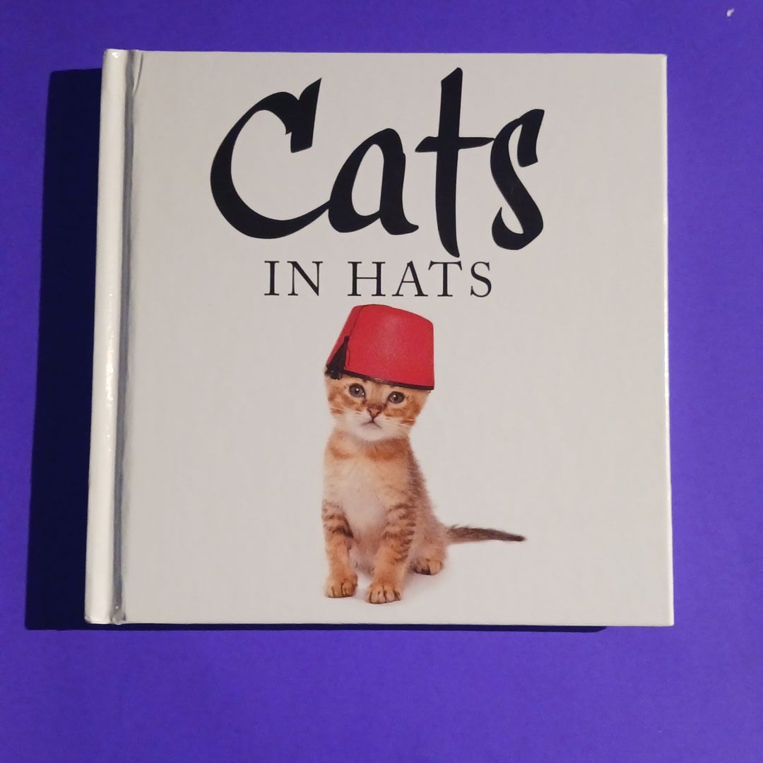 Cats in Hats by Kat Scratching, Hardcover | Pangobooks